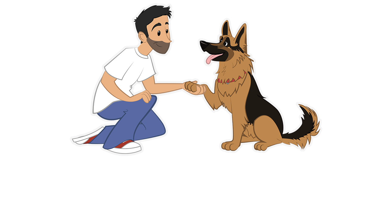 Training Positive – Learn How To Train Your Dog Like a Pro